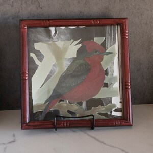 Vintage Robin/bird/cardinal in Wood Frame With Glass - Etsy