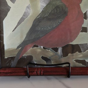 Vintage Robin/bird/cardinal in Wood Frame With Glass - Etsy