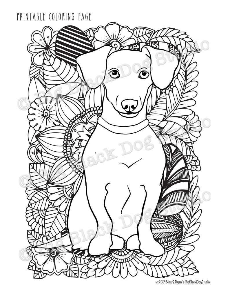 Dachshund Coloring Page (digital Download) Doxie - Etsy