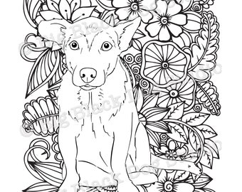 Pitbull Coloring Page (digital Download) Pibble Pittie Staffy Amstaff ...