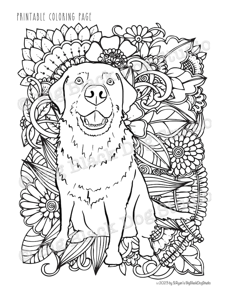 Labrador Retriever Coloring Page (digital Download) - Etsy