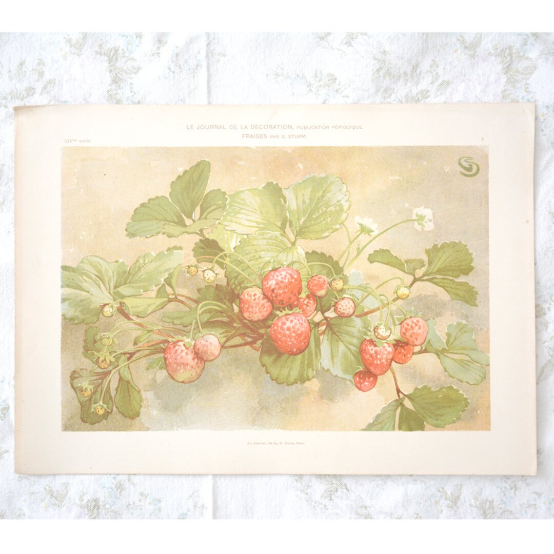Stunning Vintage Parisian Art / Lithography - Etsy