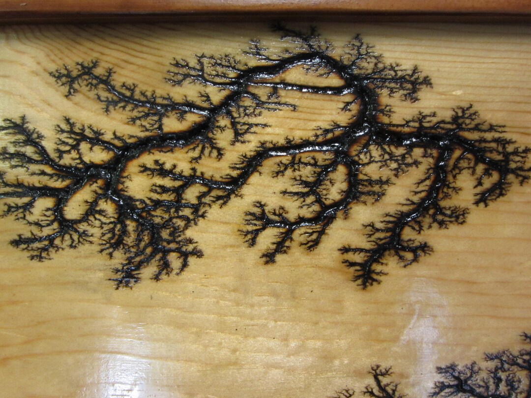 High Voltage Wood Art, Electrocuted Burned Wall Hangings, Fractal Decor ...