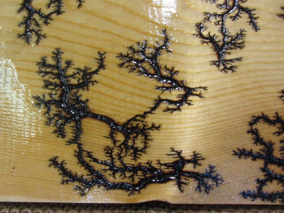 High Voltage Wood Art, Electrocuted Burned Wall Hangings, Fractal Decor ...