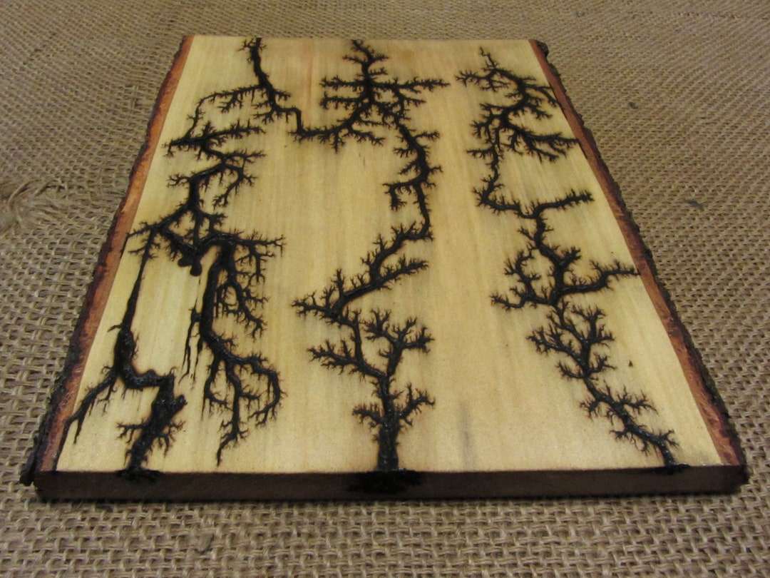 High Voltage Wood Slab Art, Electrocuted Burned Wall Hangings, Fractal ...