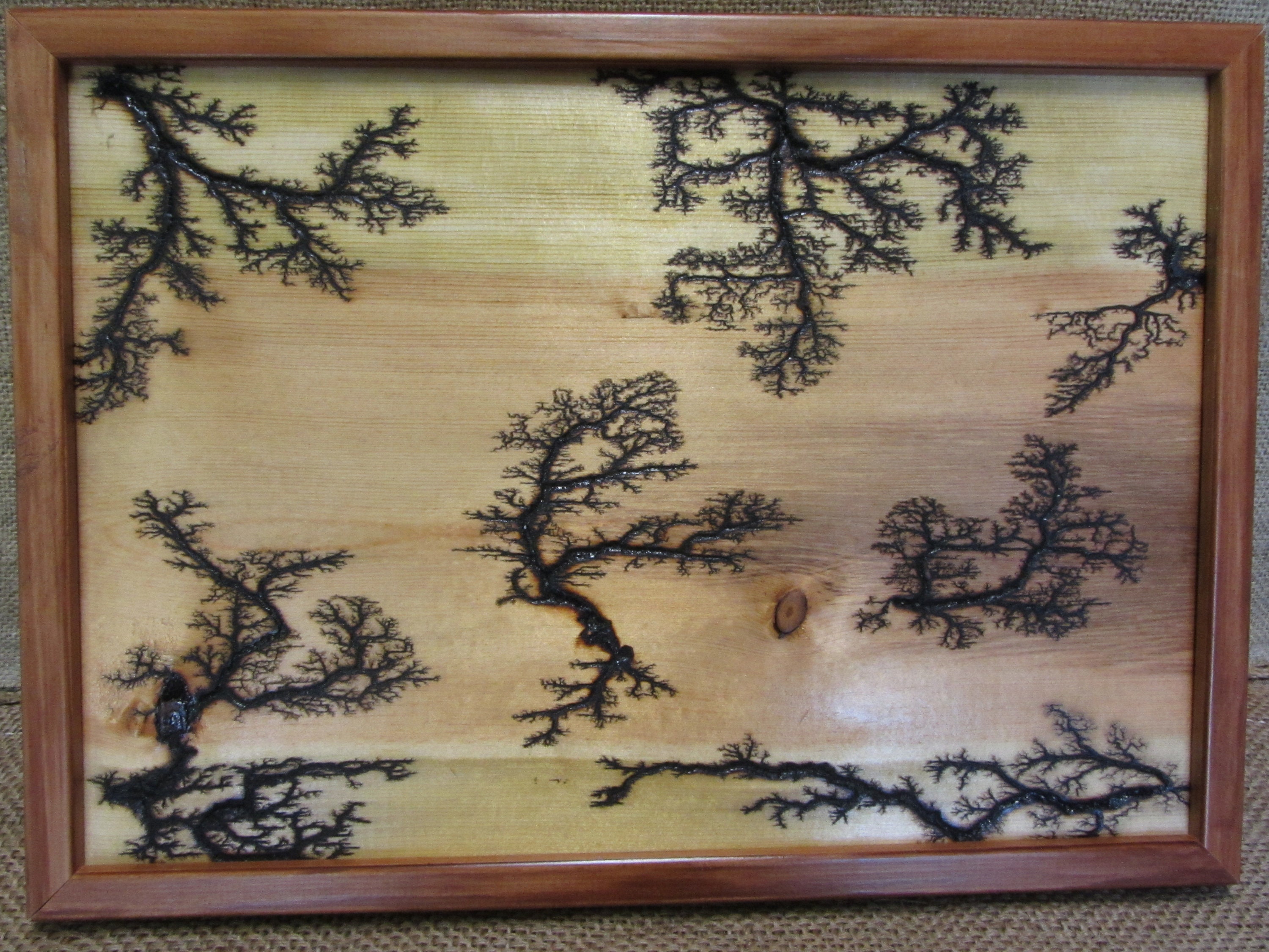 High Voltage Wood Art, Electrocuted Burned Wall Hangings, Fractal Decor ...