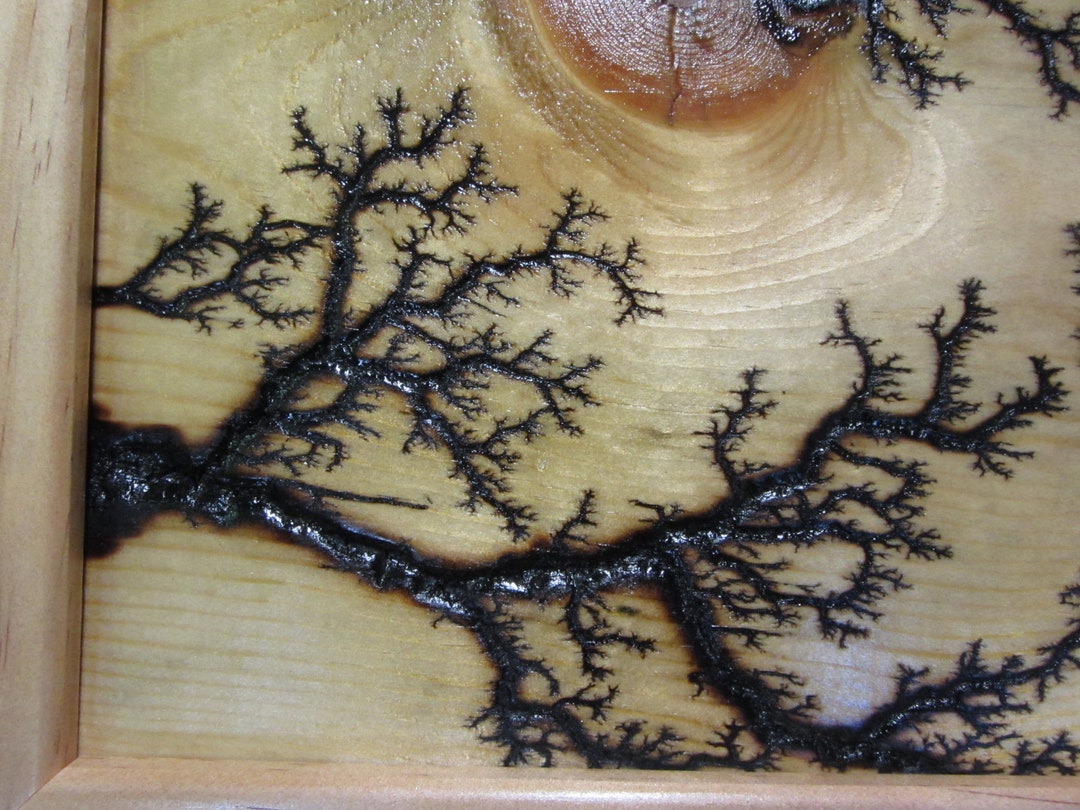 High Voltage Wood Art, Electrocuted Burned Wall Hangings, Fractal Decor ...