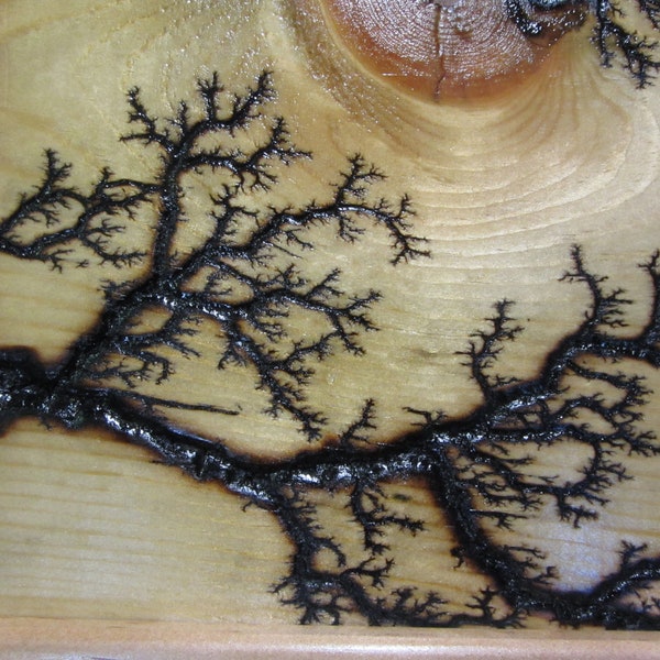Electrocuted Wood - Etsy