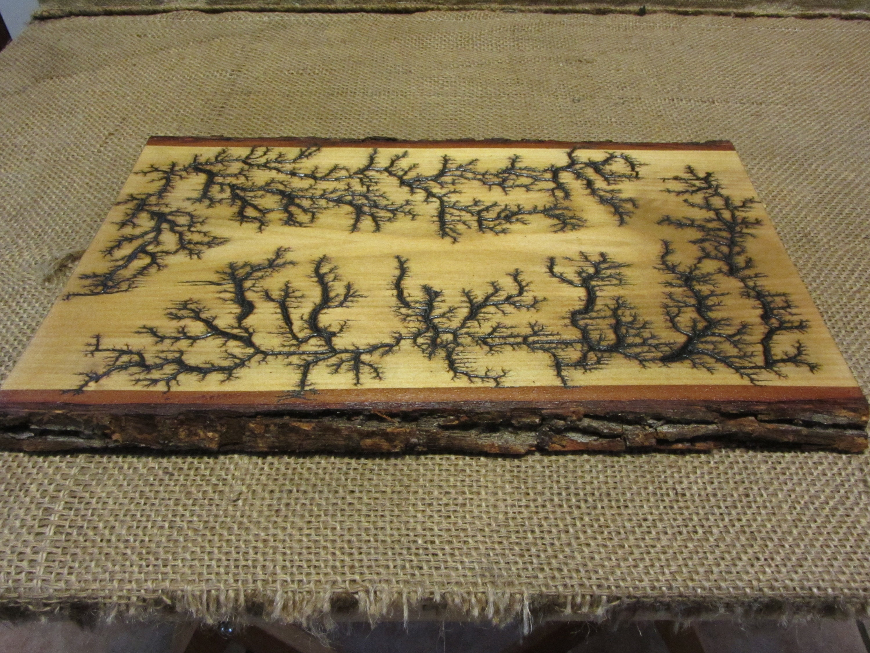High Voltage Wood Slab Art, Electrocuted Burned Wall Hangings, Fractal ...