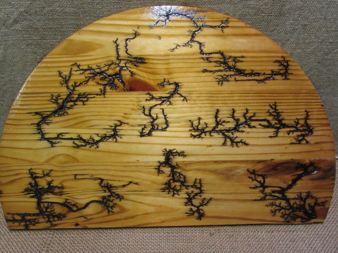 High Voltage Wood Art, Electrocuted Burned Wall Hangings, Fractal Decor ...