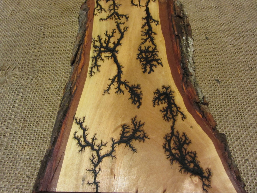 High Voltage Wood Slab Art, Electrocuted Burned Wall Hangings, Fractal ...