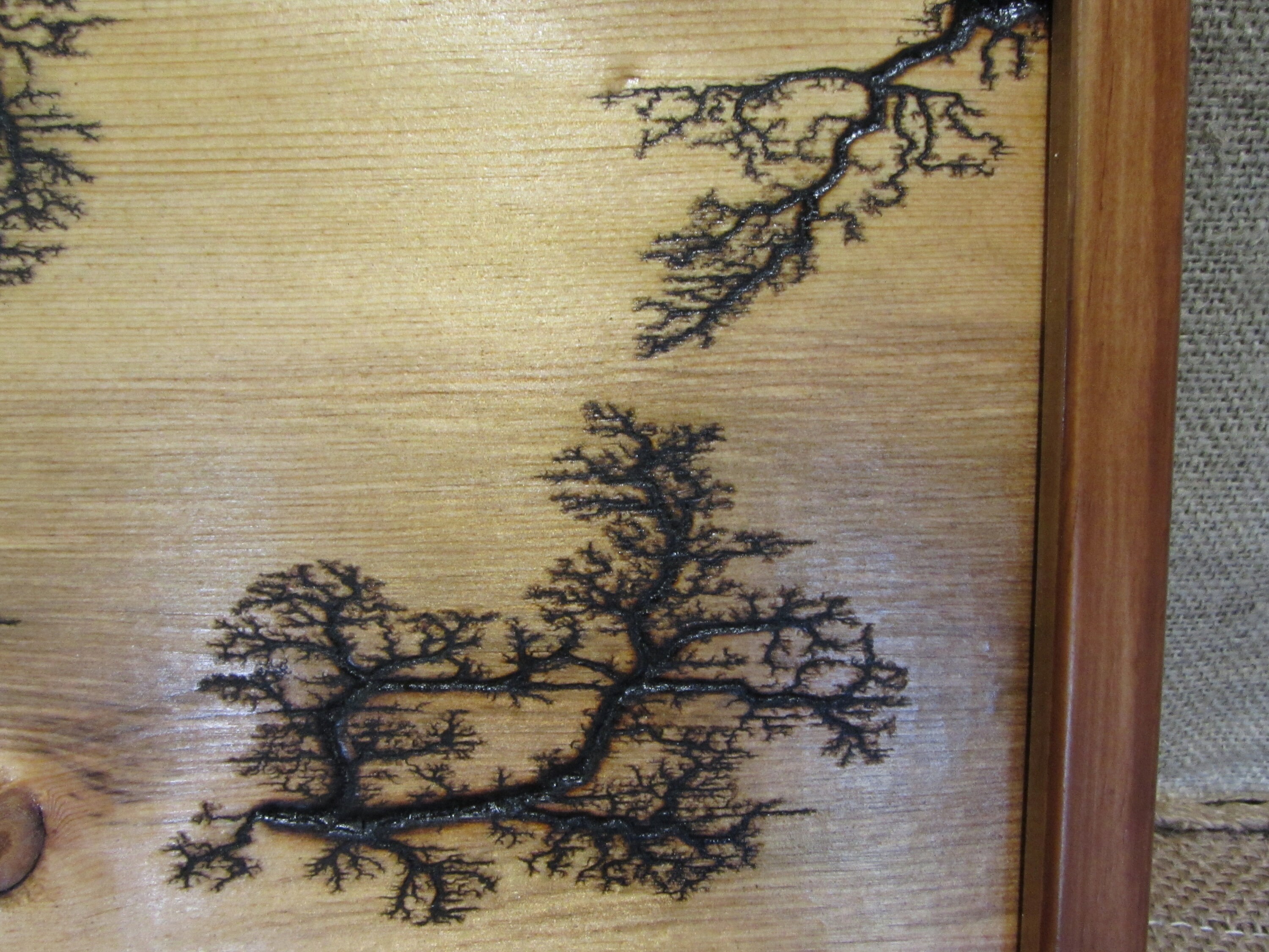 High Voltage Wood Art, Electrocuted Burned Wall Hangings, Fractal Decor ...