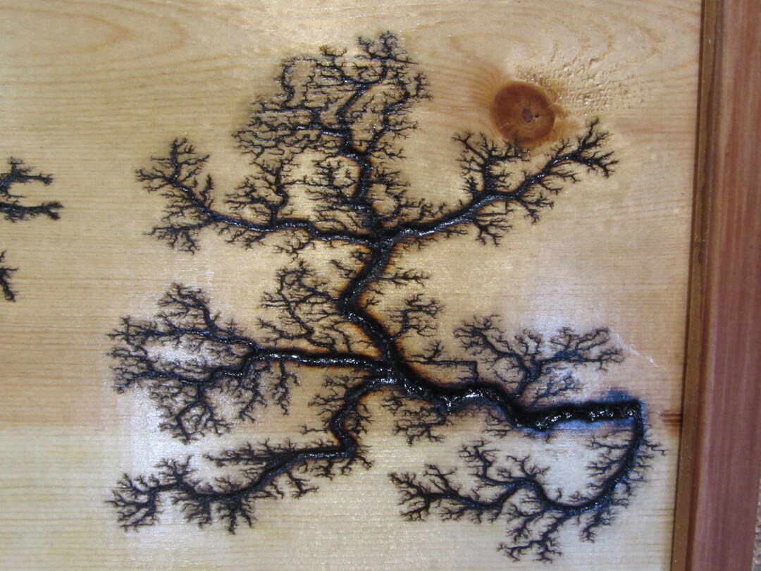 High Voltage Wood Art, Electrocuted Burned Wall Hangings, Fractal Decor ...
