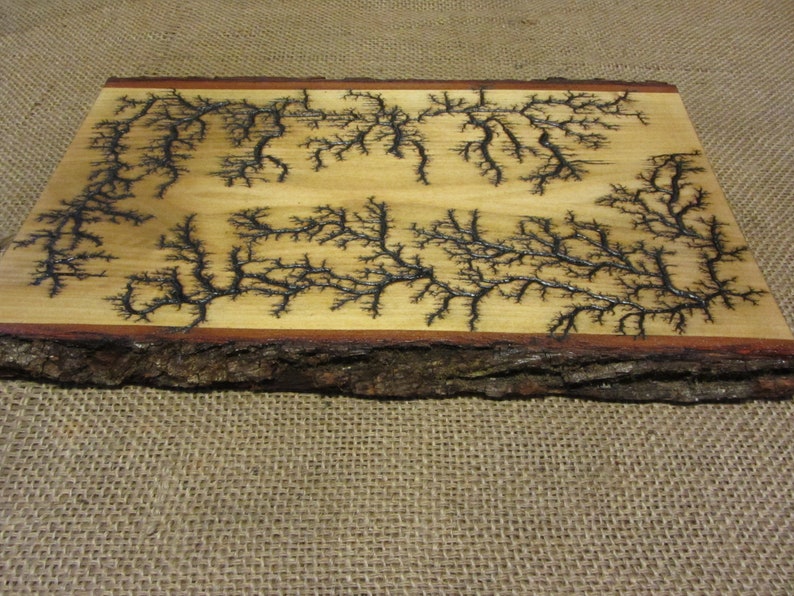 High Voltage Wood Slab Art, Electrocuted Burned Wall Hangings, Fractal ...