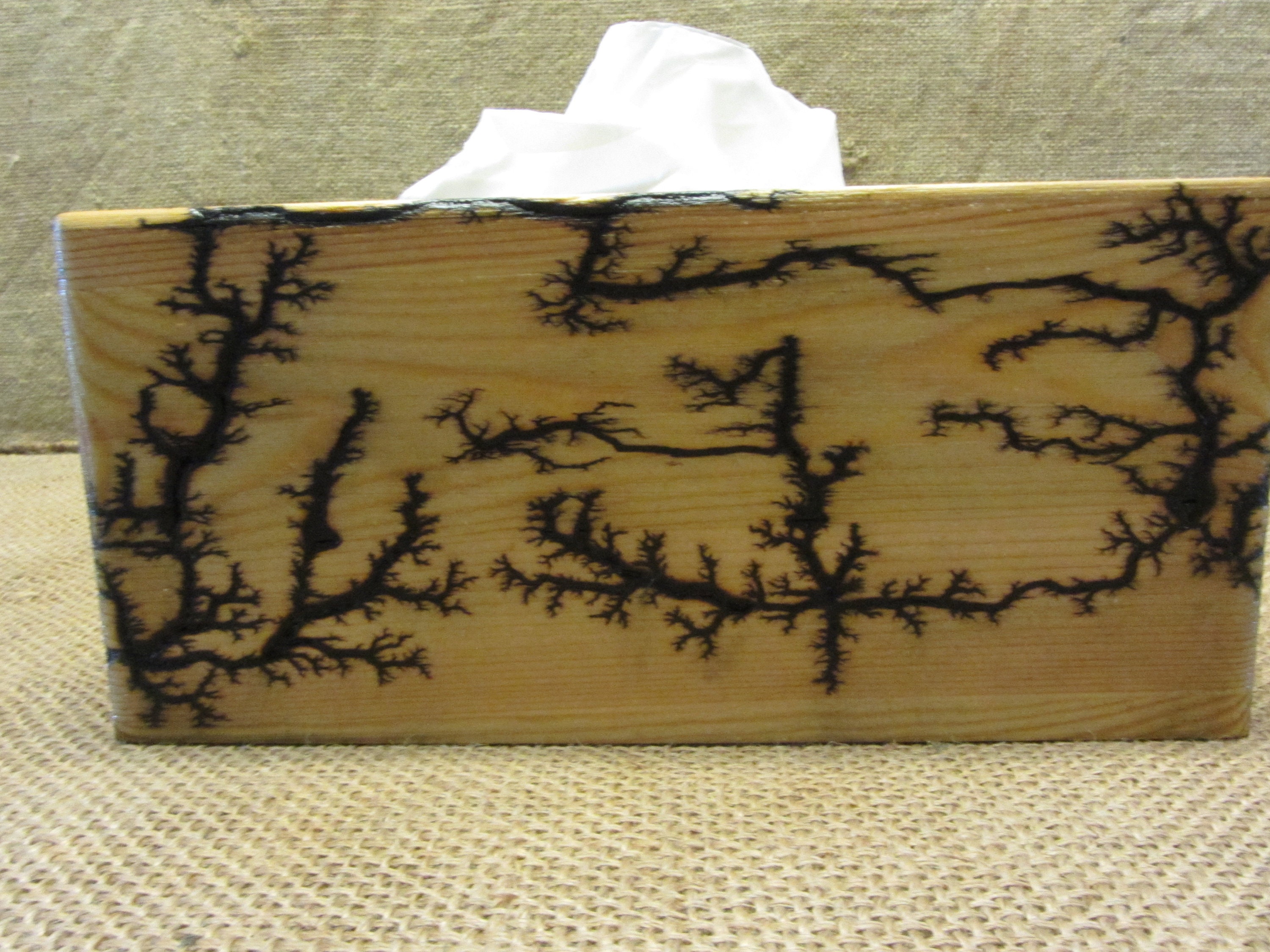 High Voltage Wood Tissue Box Art, Electrocuted Burned Wall Hangings ...