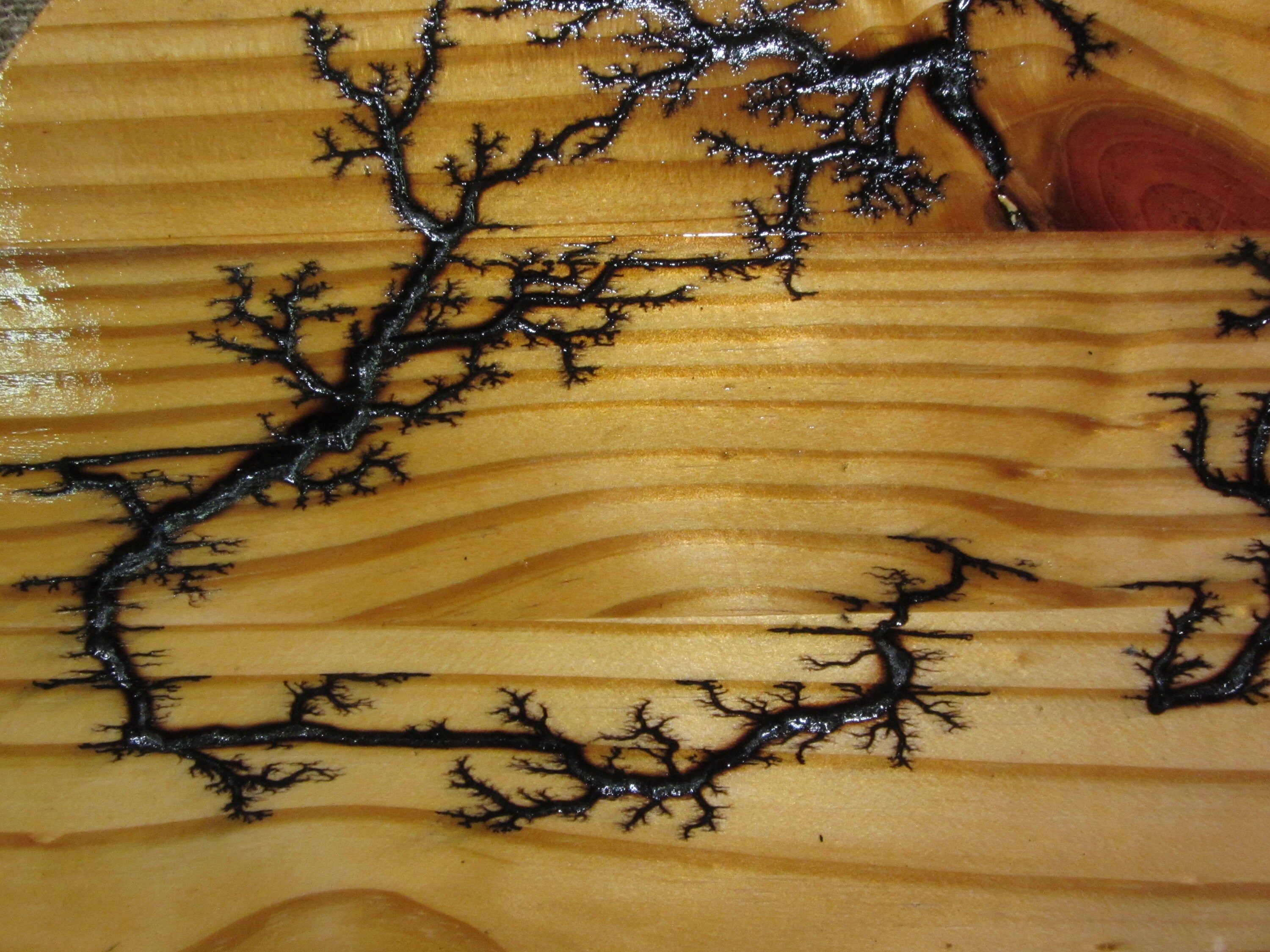 High Voltage Wood Art, Electrocuted Burned Wall Hangings, Fractal Decor ...