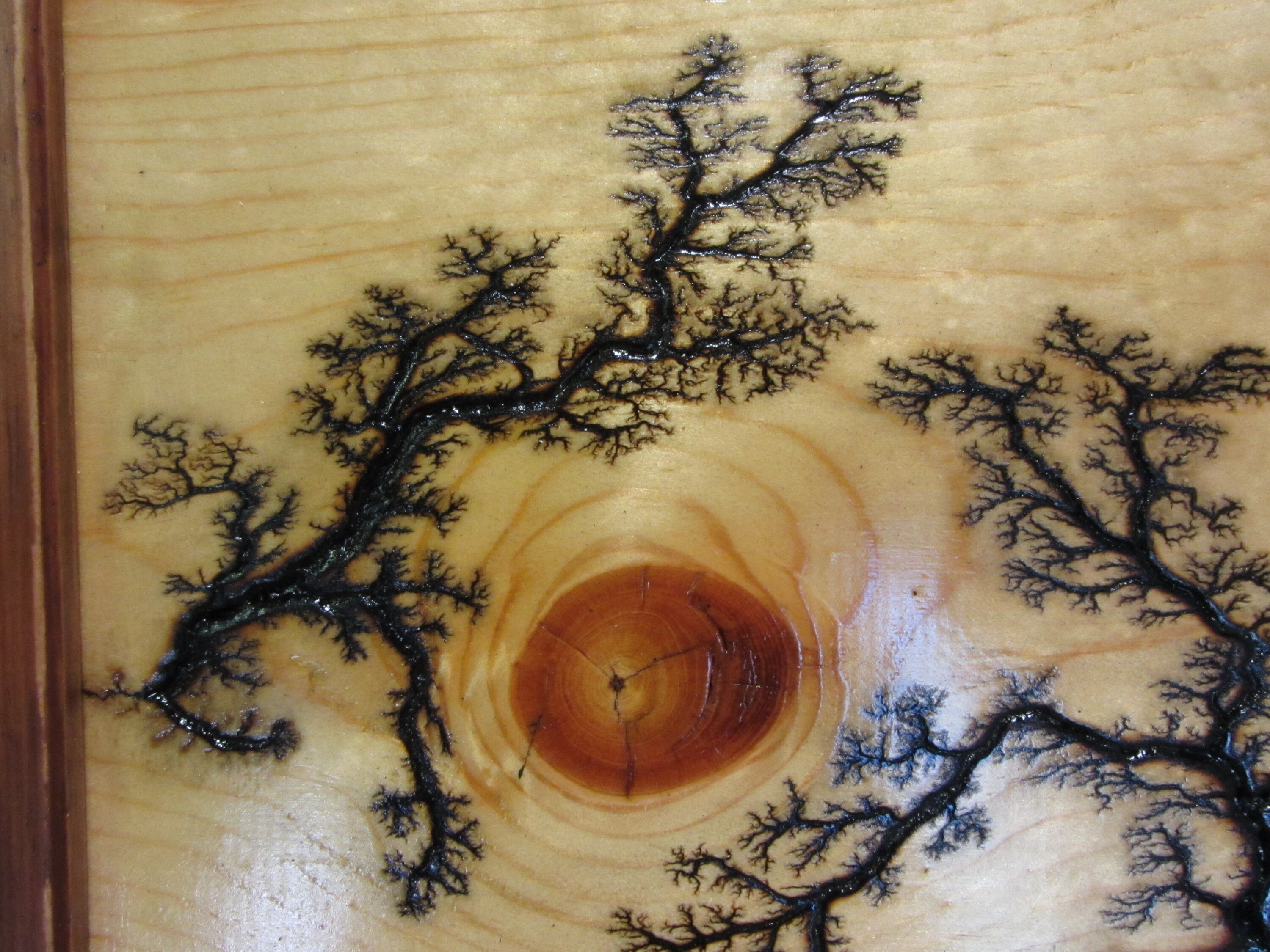 High Voltage Wood Art, Electrocuted Burned Wall Hangings, Fractal Decor ...