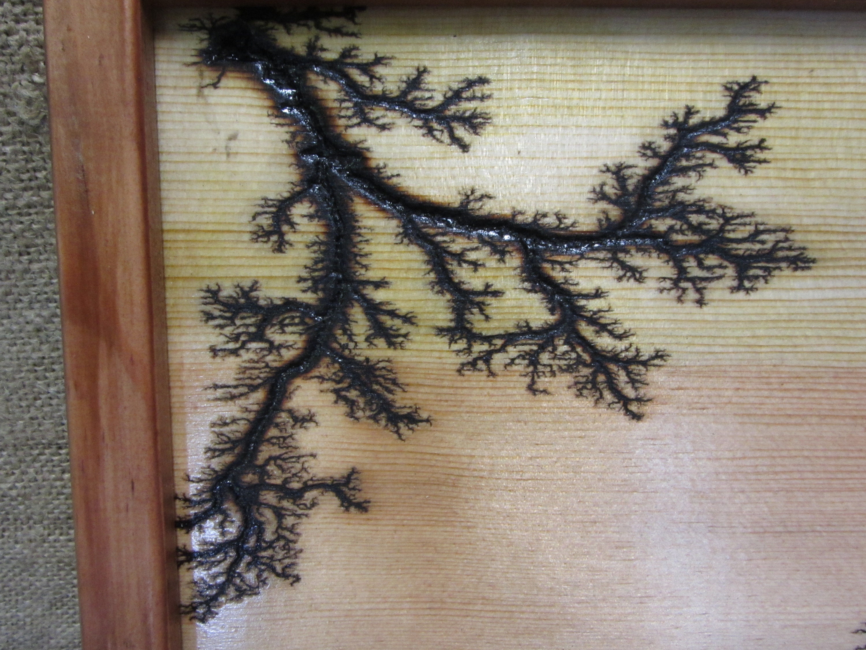 High Voltage Wood Art, Electrocuted Burned Wall Hangings, Fractal Decor ...