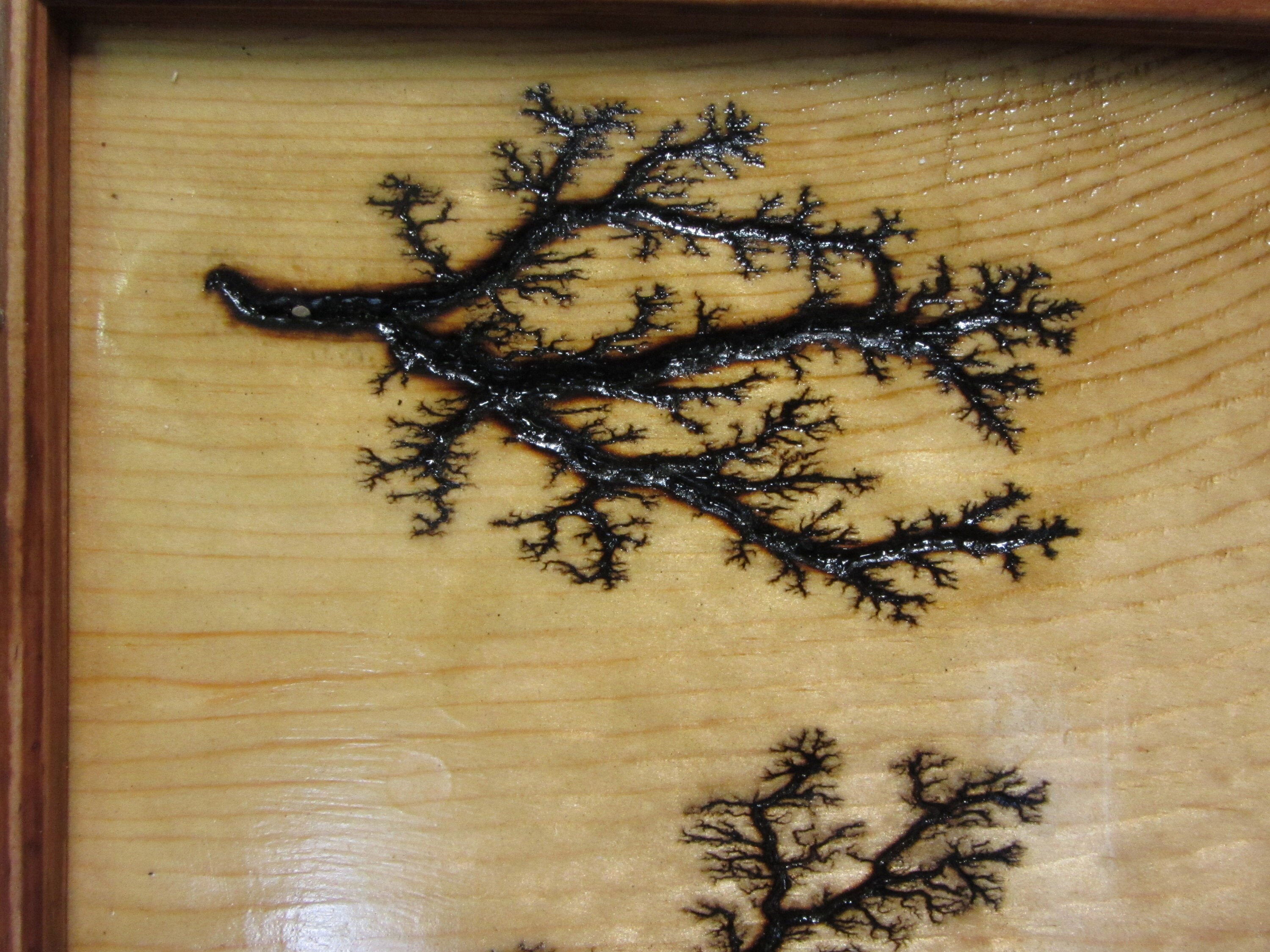 High Voltage Wood Art, Electrocuted Burned Wall Hangings, Fractal Decor ...