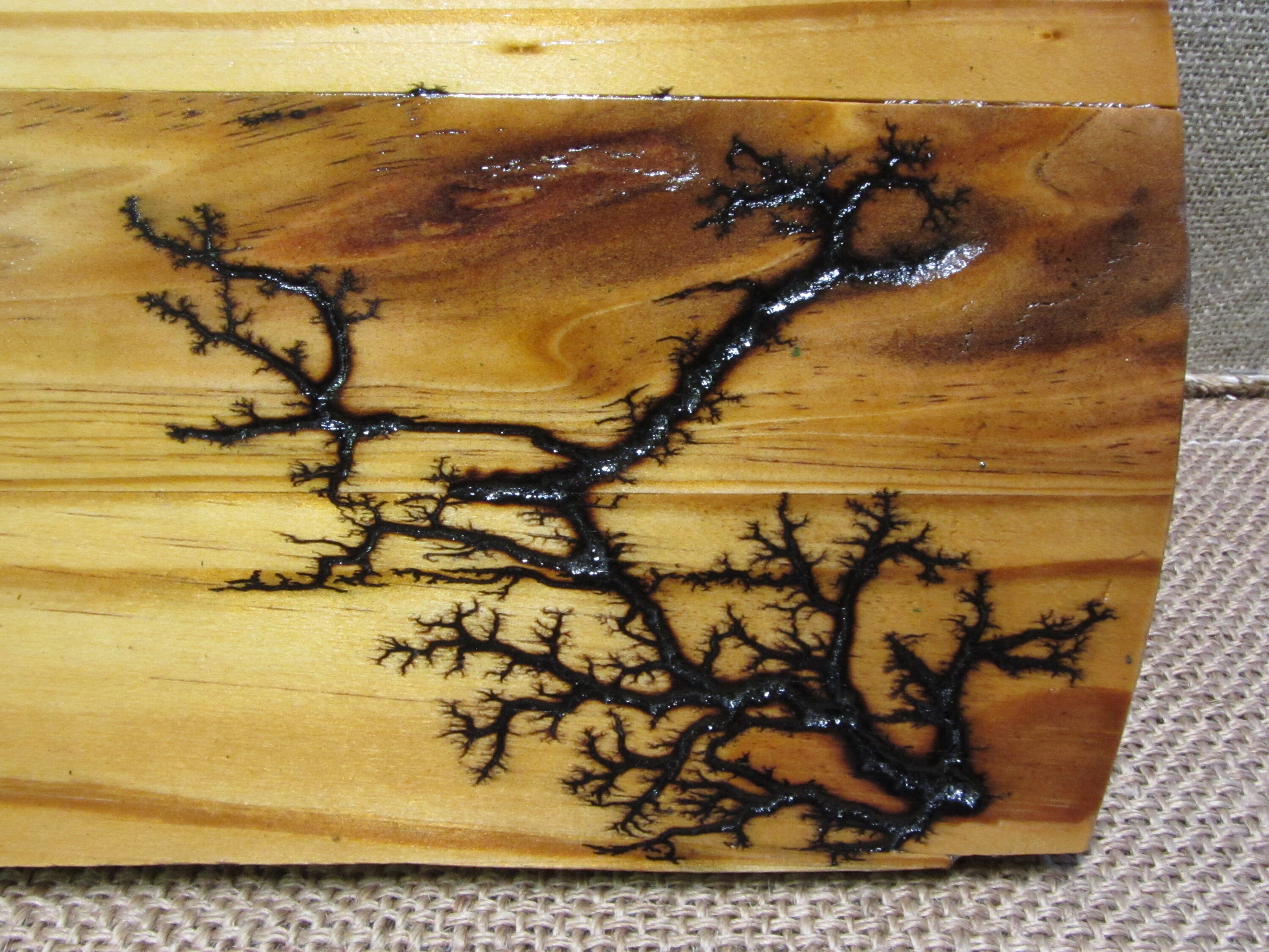 High Voltage Wood Art, Electrocuted Burned Wall Hangings, Fractal Decor ...