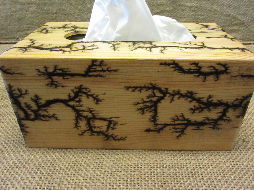 High Voltage Wood Tissue Box Art, Electrocuted Burned Wall Hangings ...