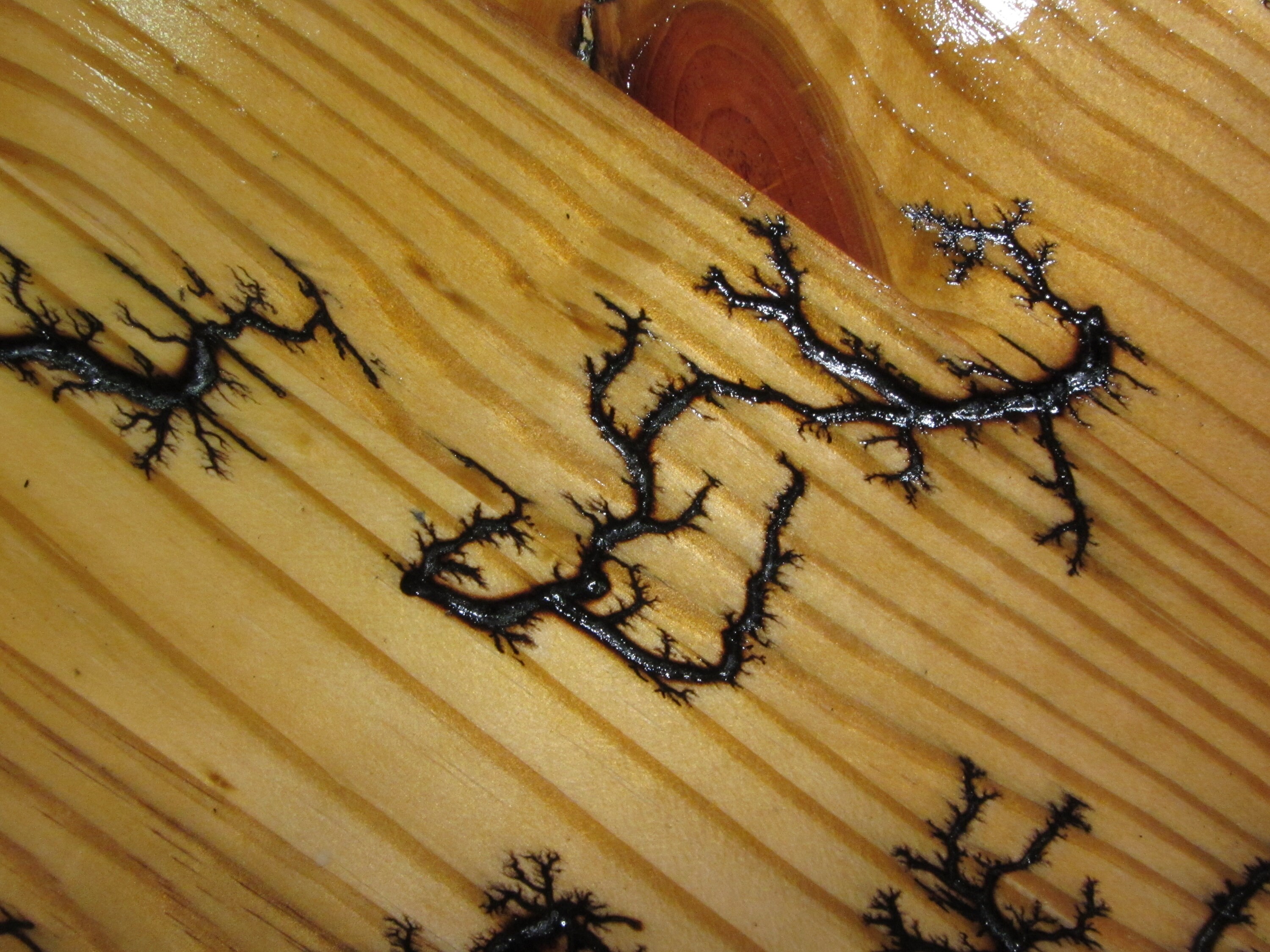 High Voltage Wood Art, Electrocuted Burned Wall Hangings, Fractal Decor ...