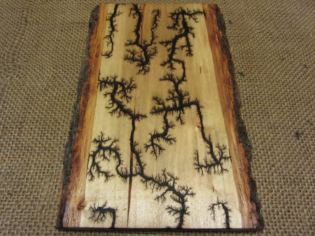 Fractal Burned Wood Slab Art, Electrocuted Wall Hanging - Etsy