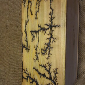 High Voltage Wood Tissue Box Art, Electrocuted Burned Wall Hangings ...