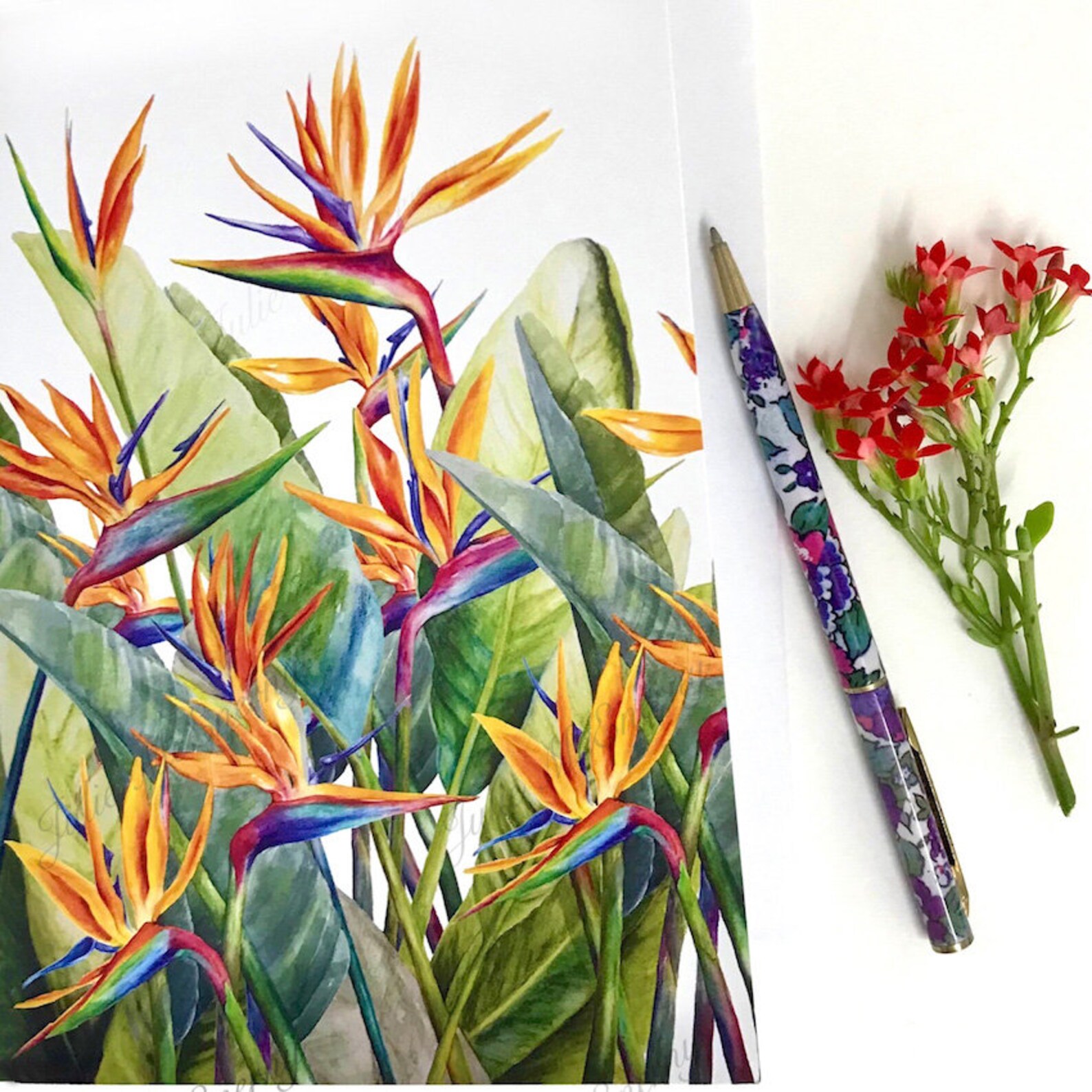 Strelitzia bird of Paradise Botanical Card Featuring - Etsy