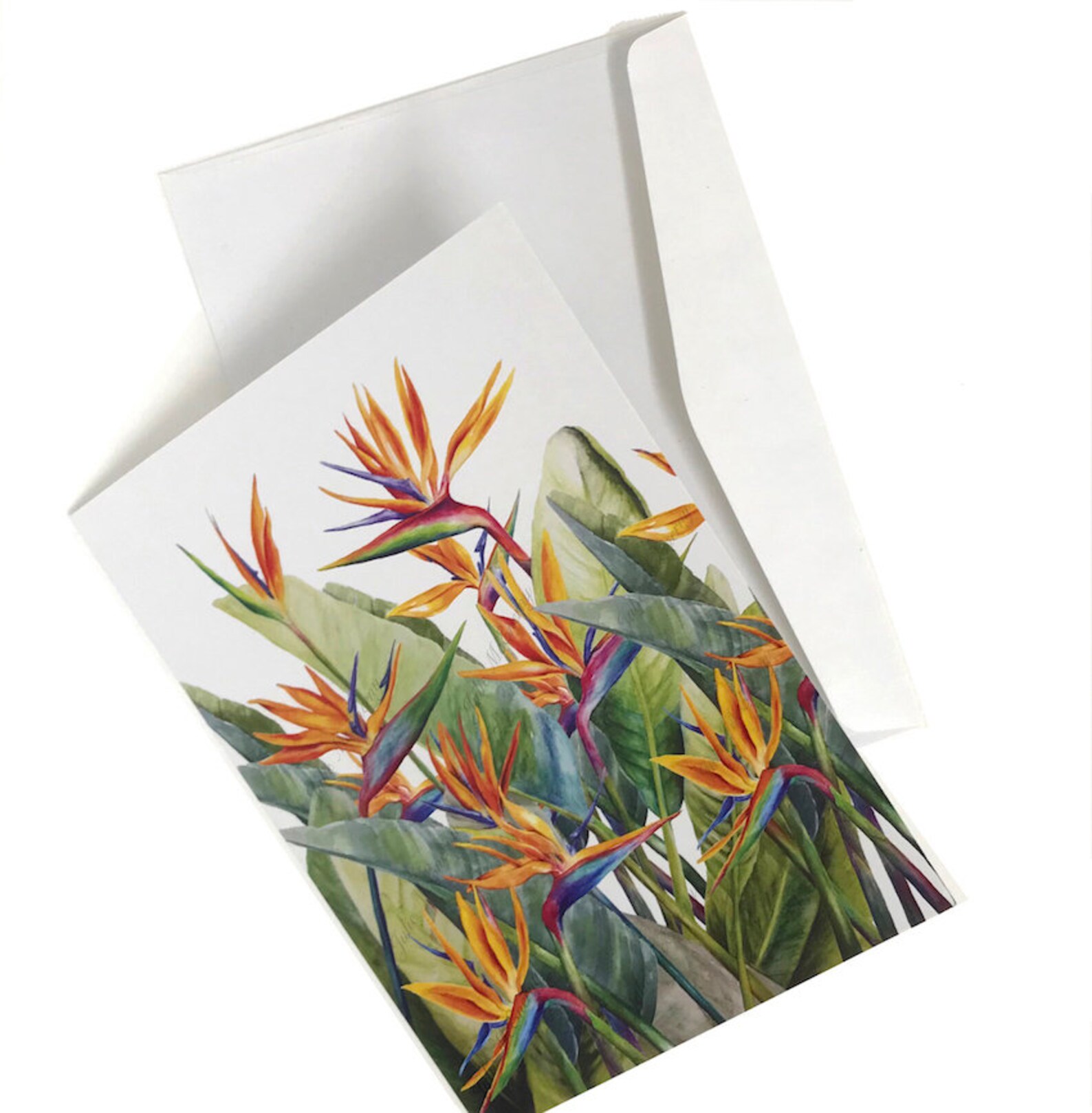 Strelitzia bird of Paradise Botanical Card Featuring - Etsy