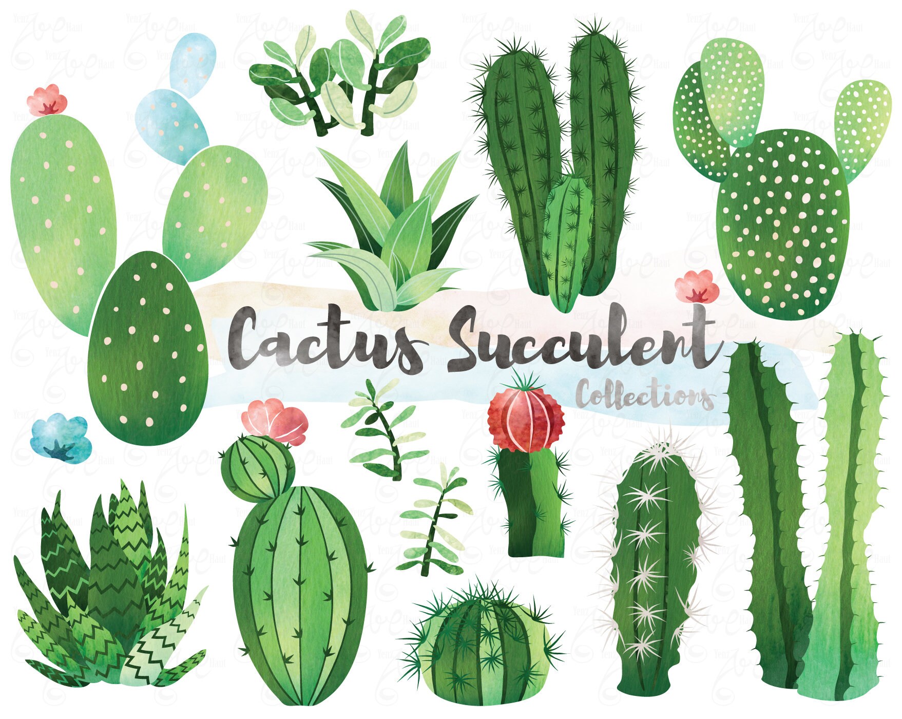 Embellishments Cacti and Succulents Clip Art Paper, Party & Kids etna ...