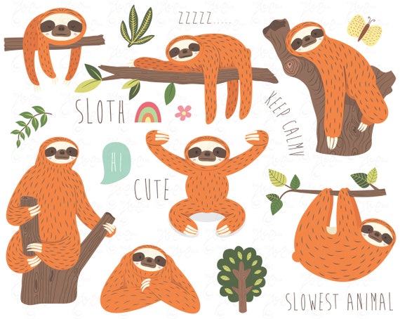 Cute sloths clipart, cute animal, slowest, sleeping, tree branch ...