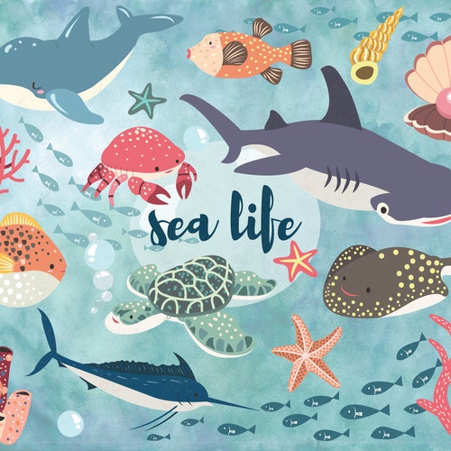 Ocean Life Clipart Shark Whale Jellyfish Dolphin Sea - Etsy