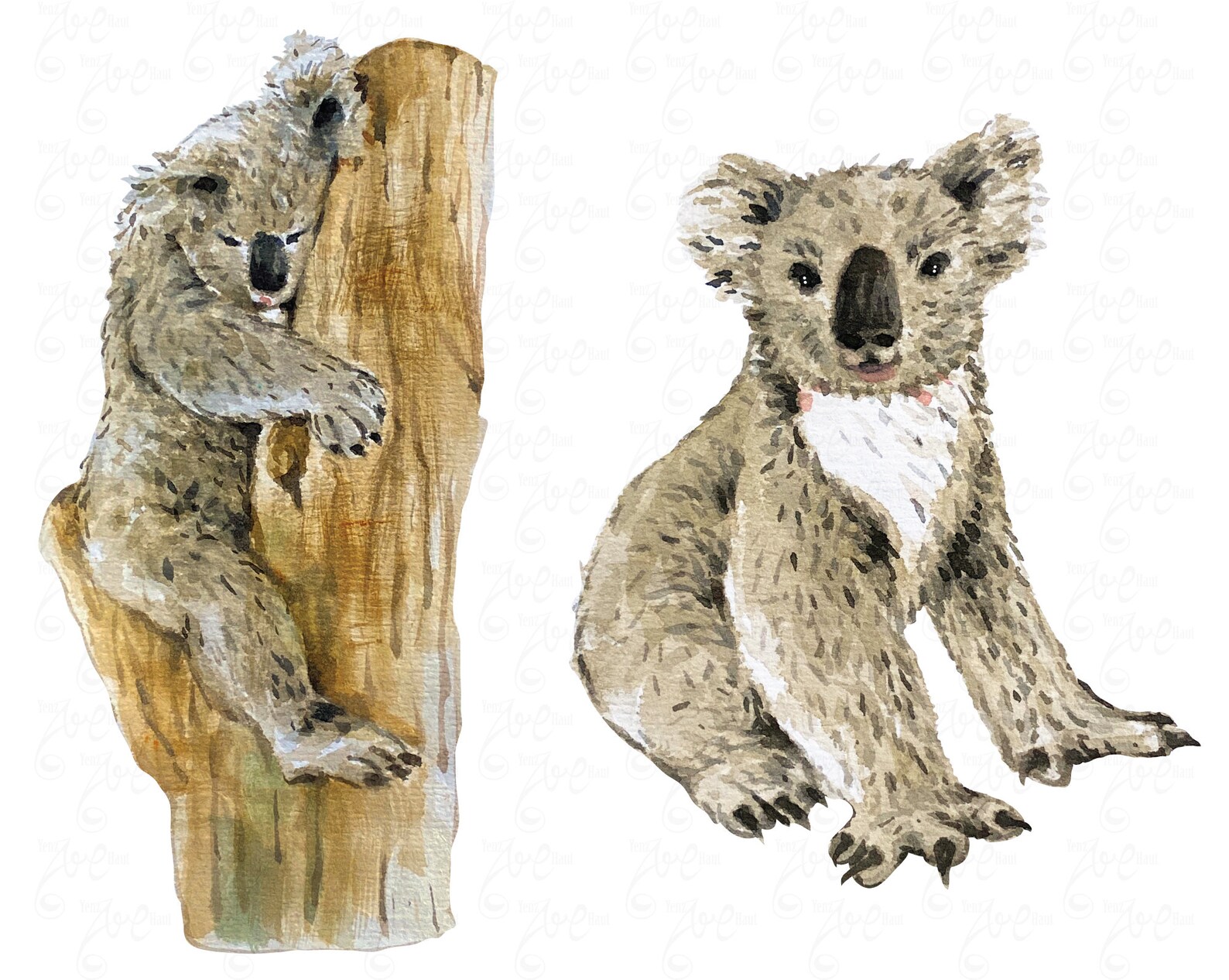 Koala. Koala Watercolor Clipart Australia Koala Bear | Etsy