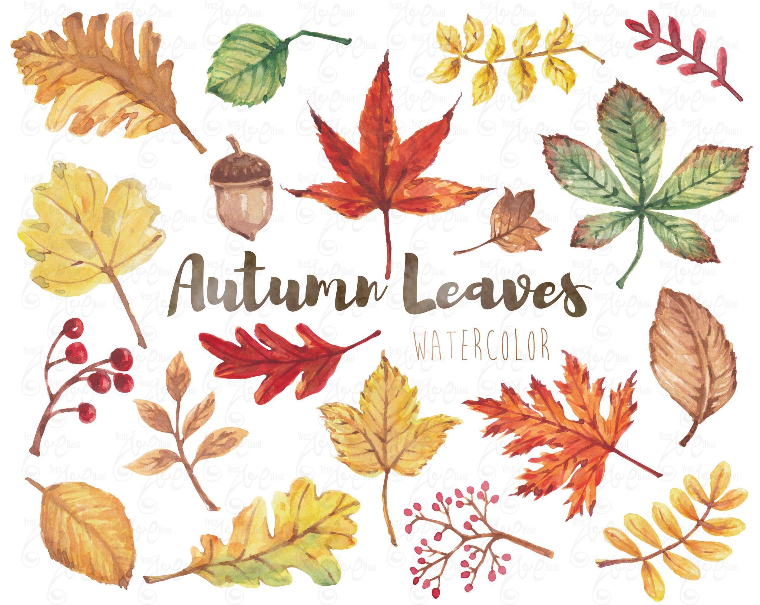 Fall Season Clip Art