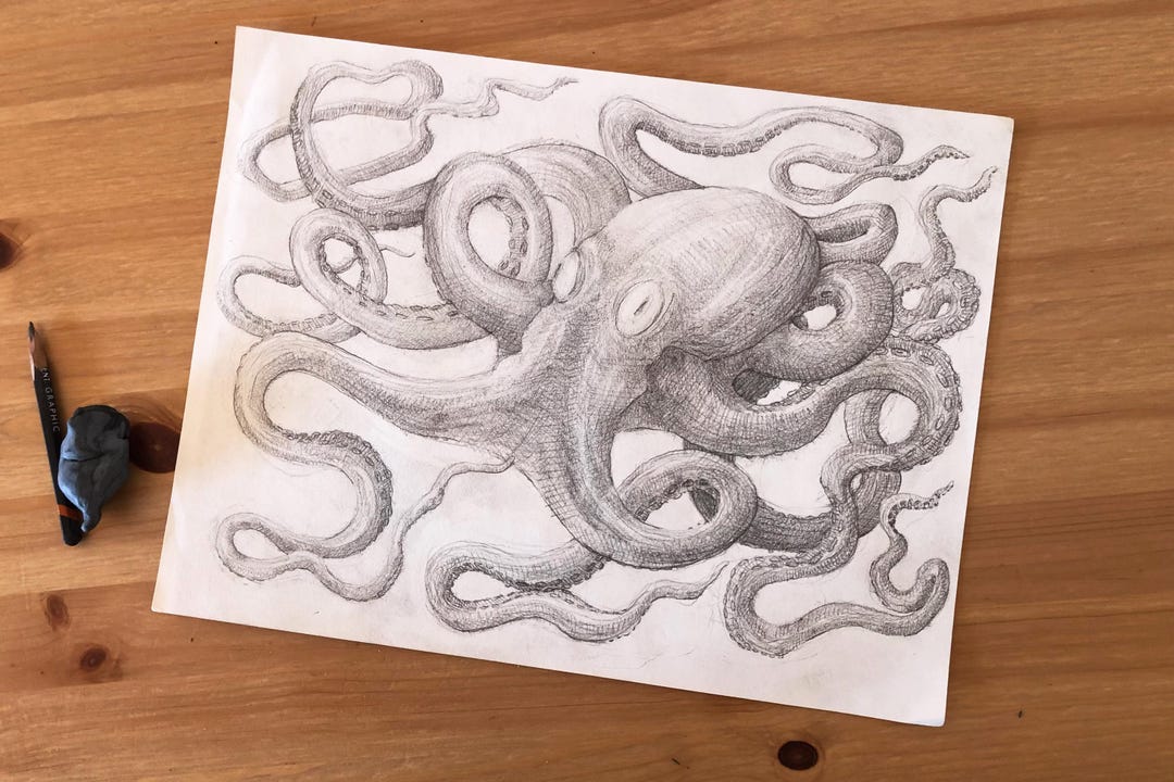 Original Octopus Graphite Drawing, Hand-drawn Art (36cm X 27cm) - Etsy