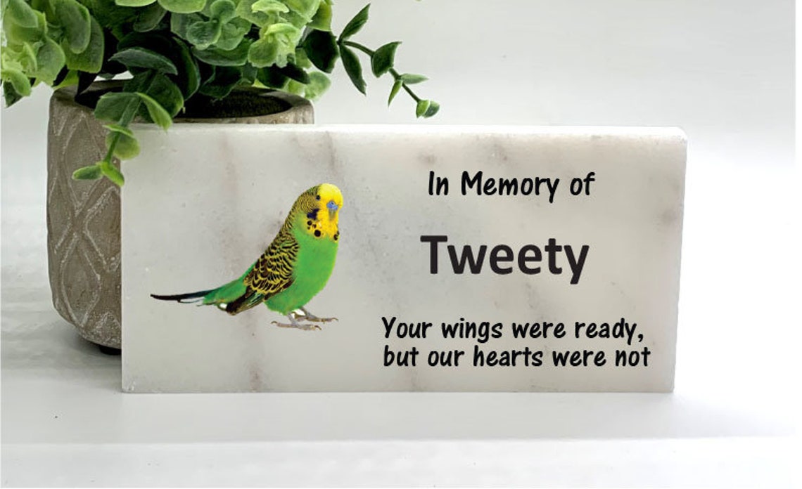 Parakeet Memorial Stone- Choice of Parakeet Color - Personalized Bird ...