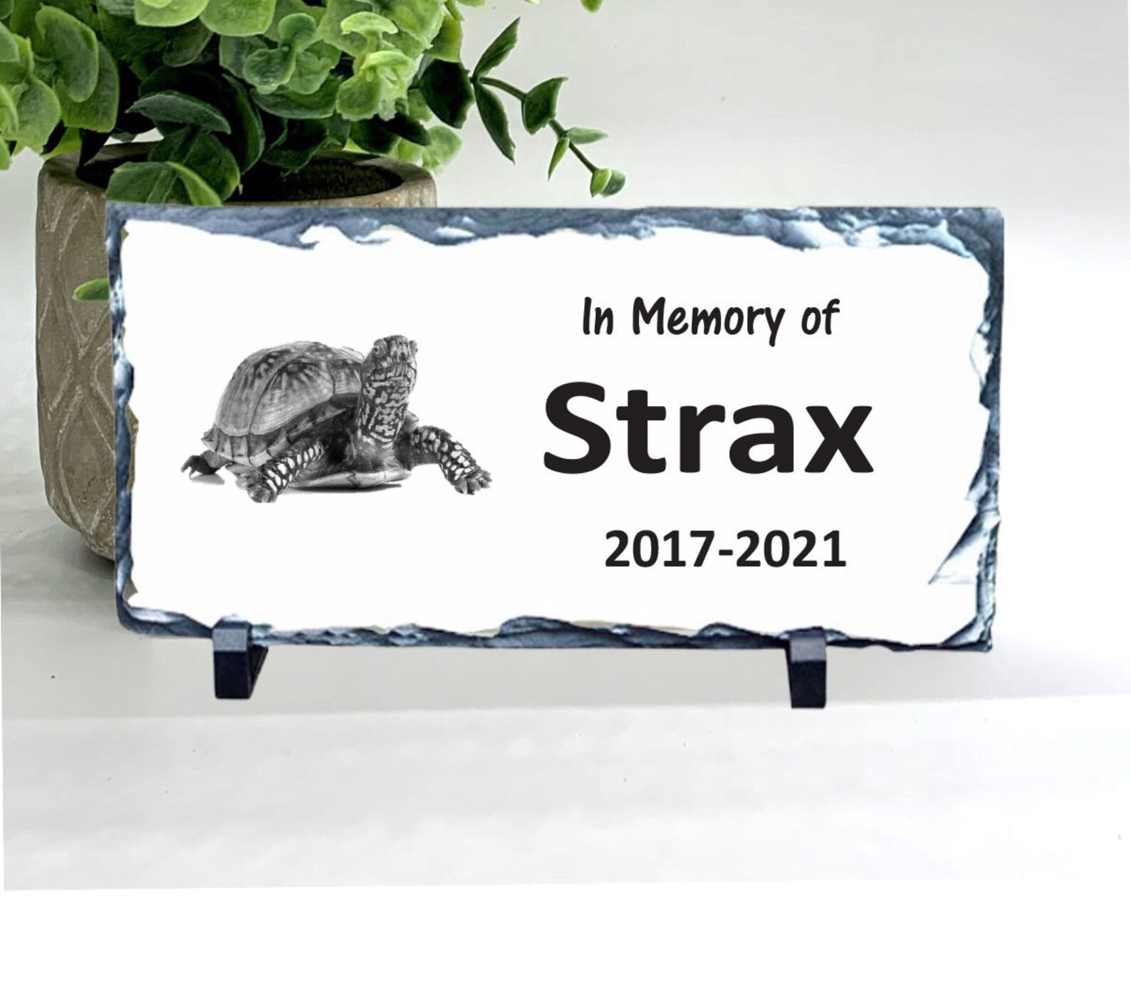 Turtle Memorial Stone Personalized Pet Keepsake Turtle - Etsy