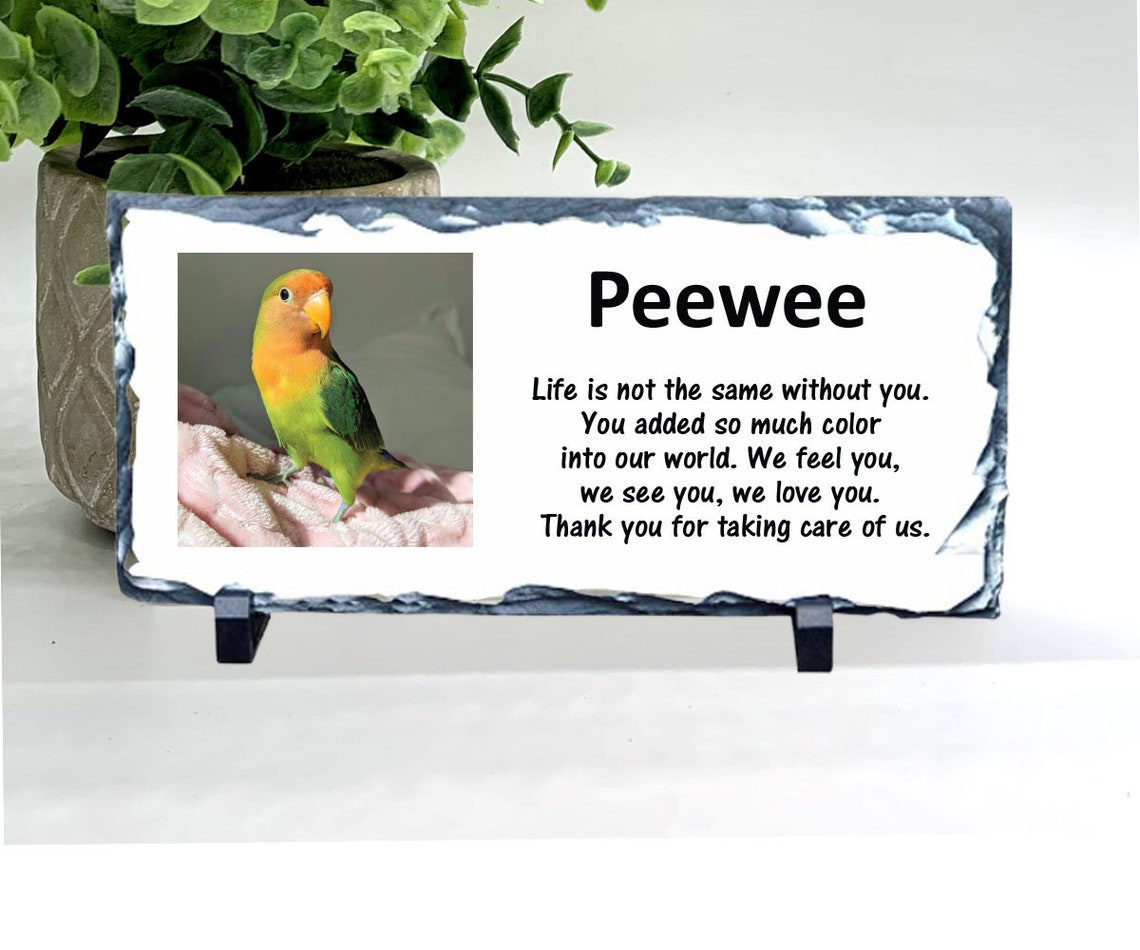 Bird Memorial Stone With Photo Personalized Memorial Stone - Etsy