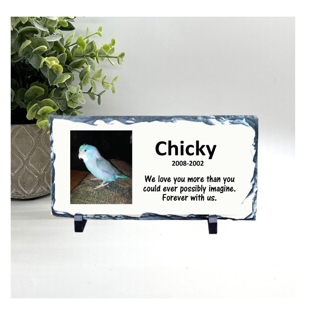 Bird Memorial Stone With Photo - Personalized Memorial Stone - Pet Loss ...
