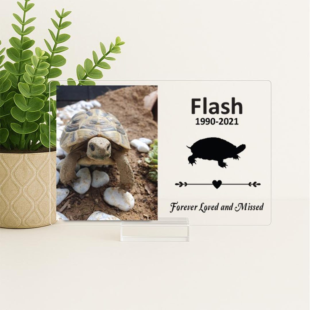 Personalized Acrylic Turtle Memorial Frame: Pet Loss Remembrance Gift ...