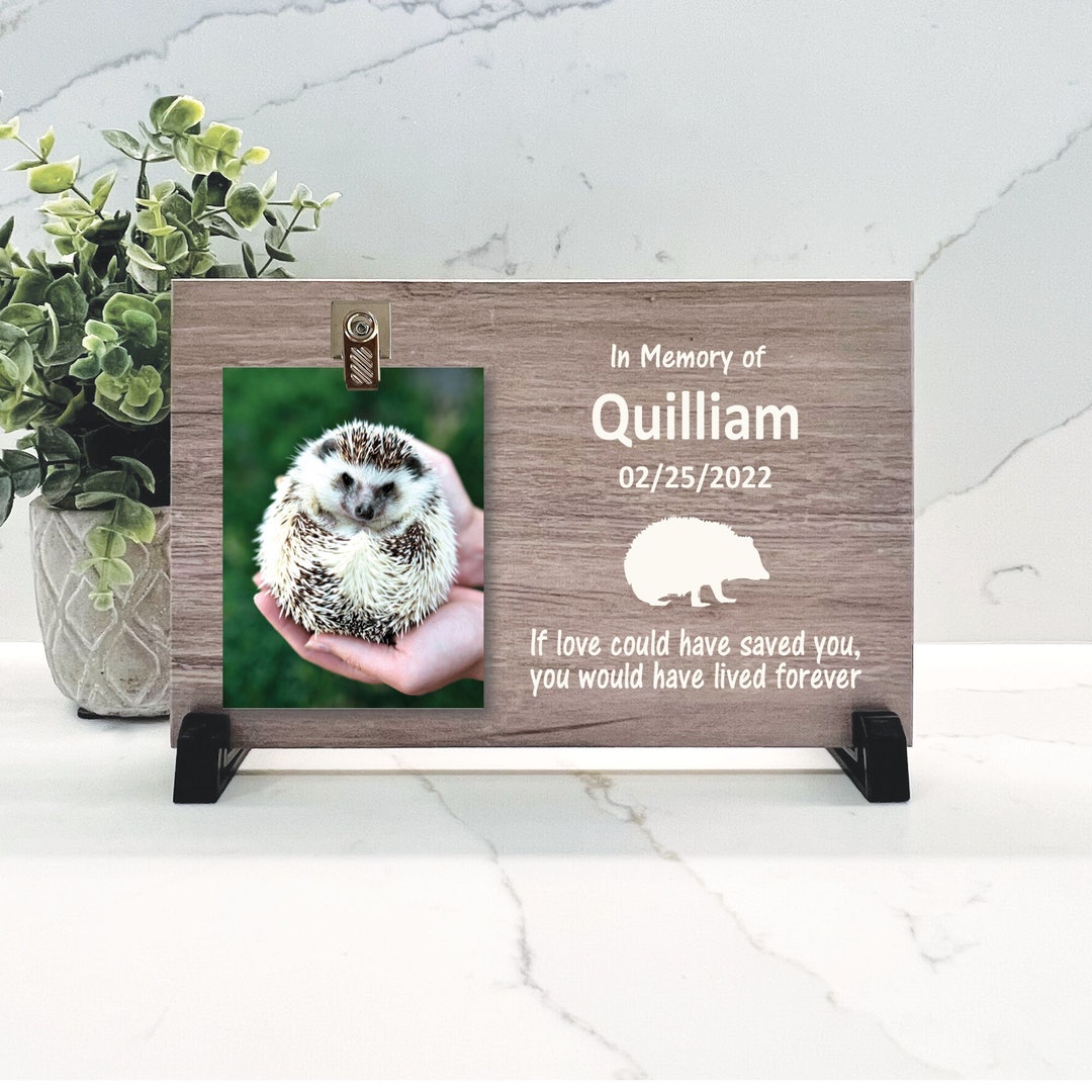 Hedgehog Memorial Gift, Hedgehog Memorial Frame, Hedgehog Photo ...