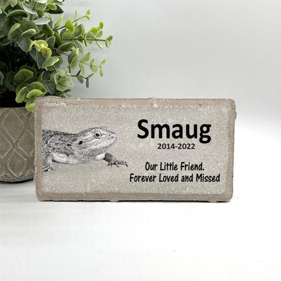 Pet Lizard Quotes 40 Times Lizards Were Caught Being Unbearably Cute