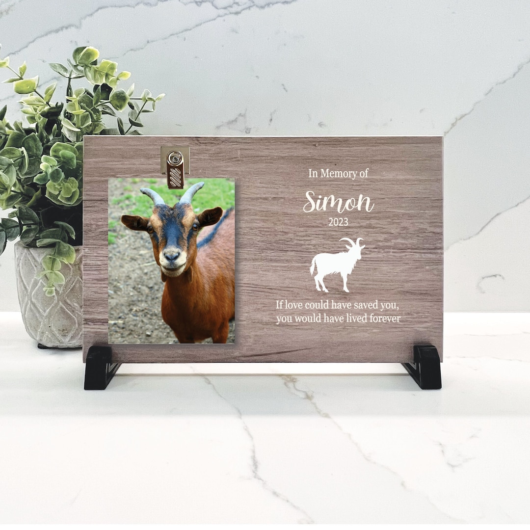 Goat Memorial Gift, Goat Memorial Frame, Goat Photo Memorial, Goat Loss ...
