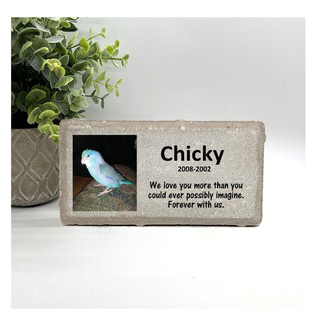 Pet Bird Keepsake- Bird Photo Memorial - Personalized Pet Memorial Gift ...