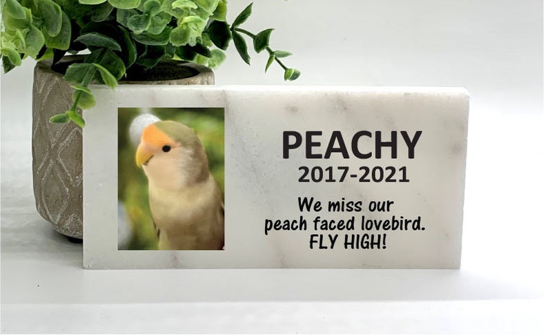 Bird Memorial Stone With Photo Personalized Memorial Stone - Etsy