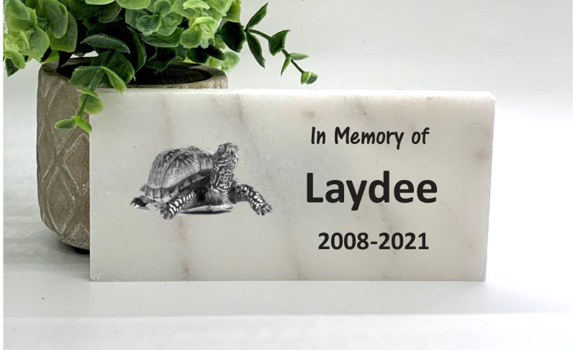 Turtle Memorial Stone Personalized Pet Keepsake Turtle - Etsy