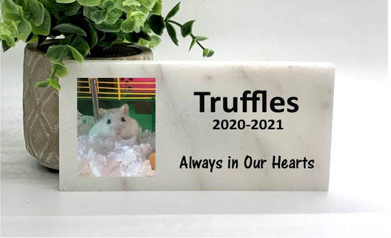 Hamster Memorial Stone With Photo Pet Keepsake Photo | Etsy