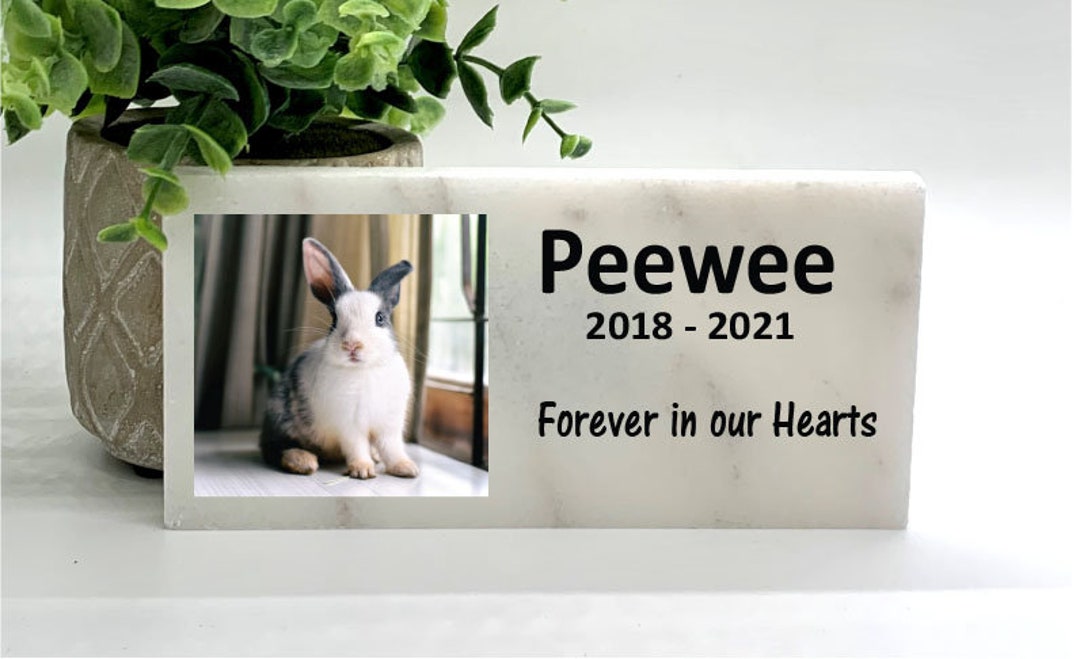 Rabbit Memorial Stone With Photo - Custom Rabbit Memorial- Personalized ...