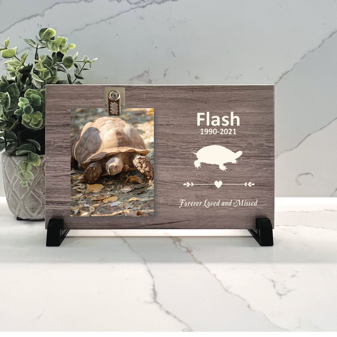 Turtle Memorial Gift, Turtle Memorial Frame, Turtle Photo Memorial, Pet ...